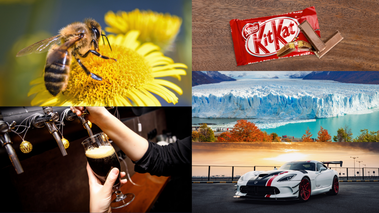 5 Unusual Simulations in COMSOL Multiphysics - SciEngineer